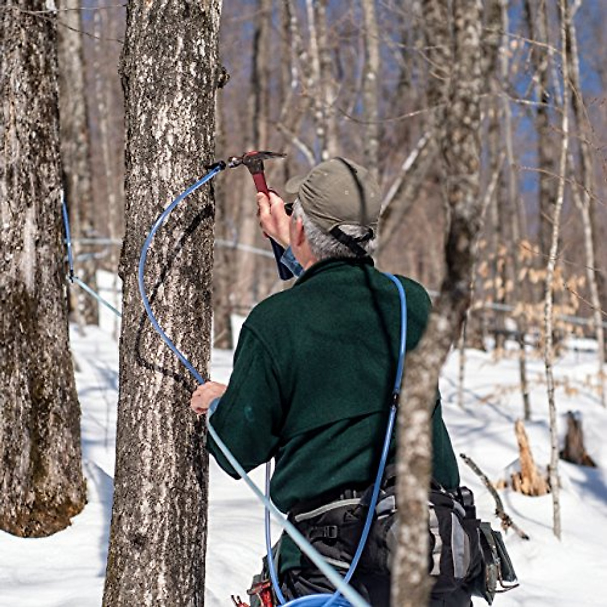 Butternut Mountain Farm Pure Vermont Maple Syrup, Grade A, Dark Color, Robust Taste, All Natural, Easy Pour, 32 Fl Oz, 1 Qt (Prev Grade B)