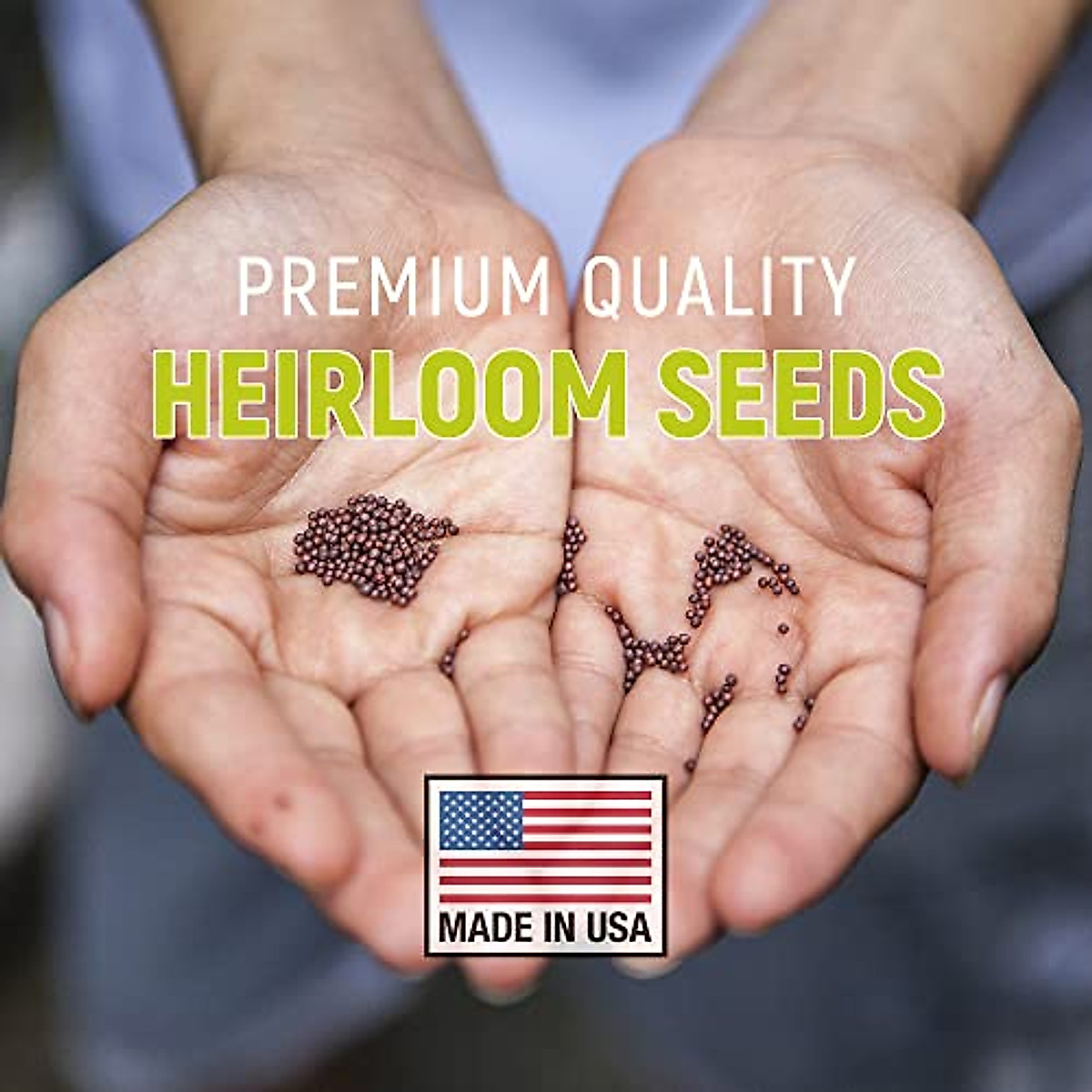 Organic Winter Vegetable Seeds Heirloom Seeds for Planting, Green Beans, Beets, Broccoli, Carrot, Cauliflower, Kale, Peas, Radish - Môpet Marketplace
