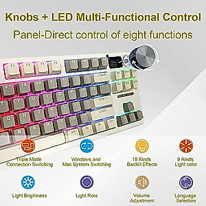 SHOWKINGS 75% Mechanical Keyboard, BT5.0/2.4G/USB-C Hot Swappable Gaming Keyboard with 87 Keys Programmable Buttons for Windows and Mac OS Systems-Customized Sea Air Switch(Grey-White)