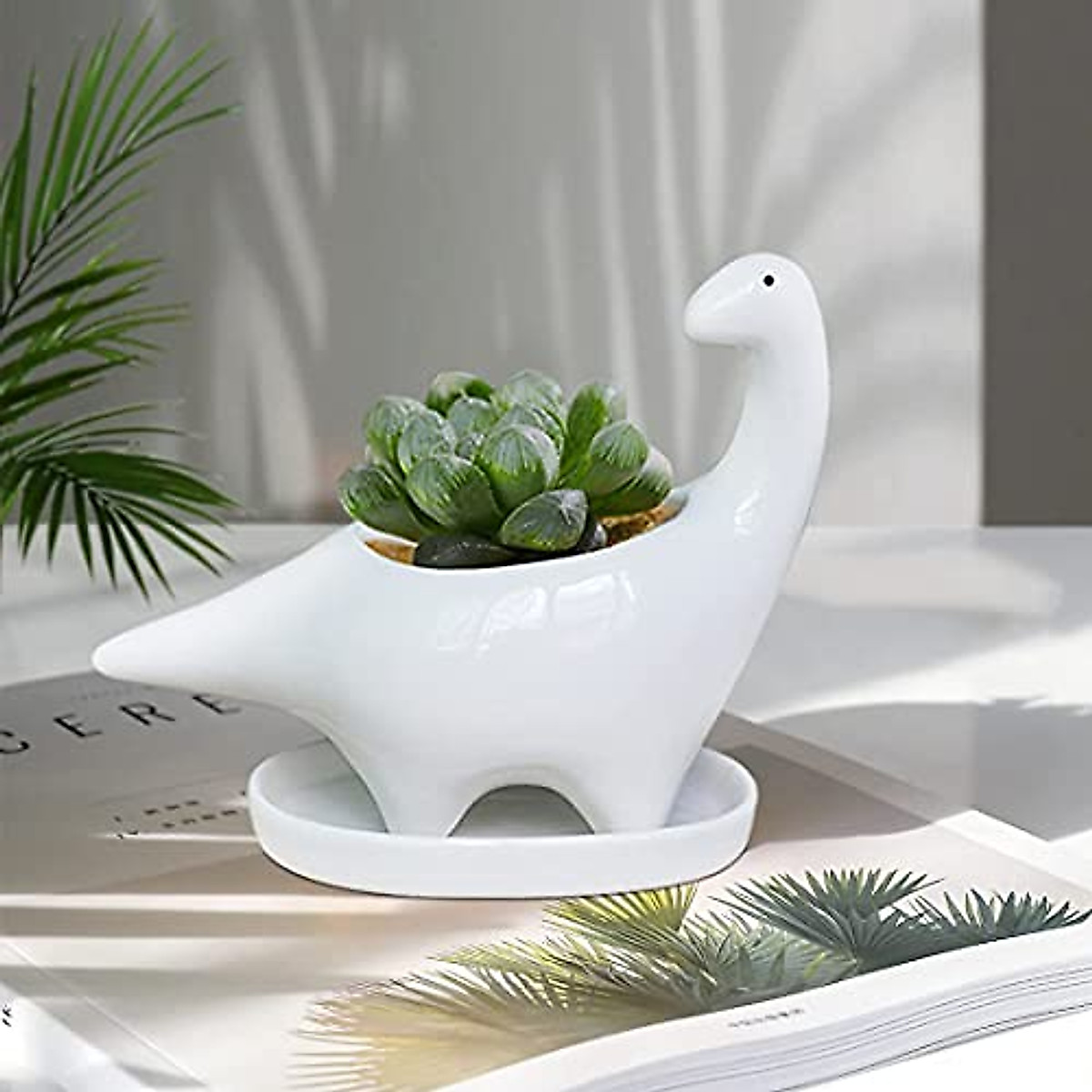 GeLive White Dinosaur Ceramic Succulent Planter Flower Plant Pot Window Box with Saucer Cartoon Animal Decor