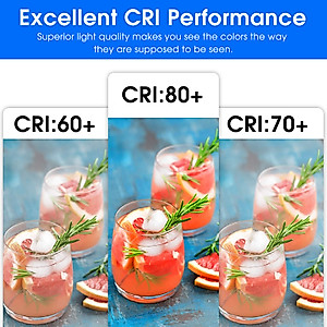 Energetic A19 LED Bulb 60W Equivalent, 5000K Daylight LED Light Bulbs, E26 Standard Base, 750LM, Non-Dimmable, UL Listed, 12 Pack