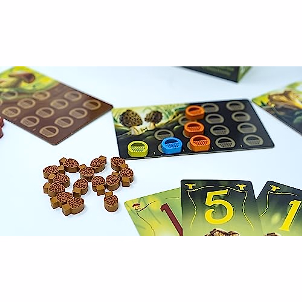 Wonder Woods Board Game by Blue Orange Games - Family or Adult Mushroom Theme Strategy Board Game for 2 to 5 Players. Recommended for Ages 8 & Up.