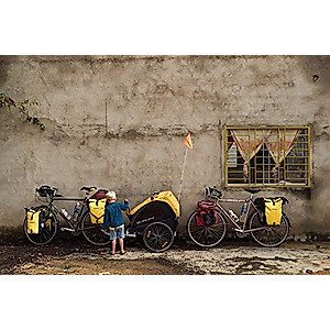 BURLEY Design Bee, 2 Seat, Lightweight, Kids Bike-Only Trailer, Yellow (946203)