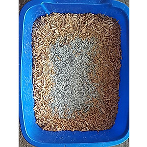 100% Natural Cedar Chips | Mulch | Great for Outdoors or Indoor Potted Plants | Dog Bedding | Pleasant Earthy Smell (4 Quart)