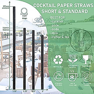 Paper Cocktail Straws 5 inch - 500 ct. Biodegradable Small Black Paper Drinking Straws Bulk for Short Drinks, Restaurant, Bar, Food Services