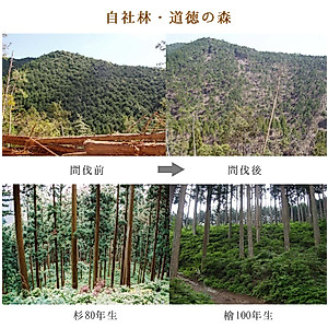 Ikekawa-Mokuzai Manufacturer Japanese-Stlye Bath Chair