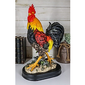 Ebros Large Decorative Rooster Chicken Statue 13.5" H Sunshine Crow Rural Country Barnyard Farm Animal Chicken Hen Kitchen Home Decor Sculpture Great for Farm Owners Nature Lovers