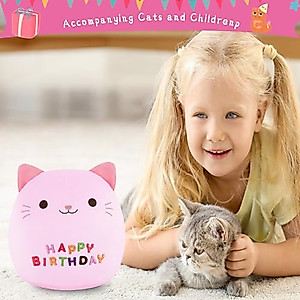 9.8 inch Cat Plush Birthday Plush Pillow, Pink Cute Cat Birthday Plush Toy, Birthday Party Decoration Birthday Gift for Kids (Pink Cat)