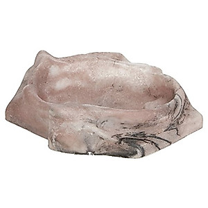 Zoo Med Repti Rock Reptile Water Dish for Fish, X-Small,Black
