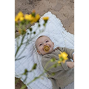 BIBS Pacifiers - De Lux Collection | BPA-Free Baby Pacifier | Made in Denmark | Set of 2 Baby Blue Color Premium Soothers | Size 6-18 Months