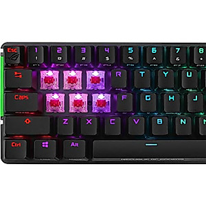 ASUS ROG Falchion NX 65% Wireless RGB Gaming Mechanical Keyboard | ROG NX Blue Clicky Switches, PBT Doubleshot Keycaps, Wired / 2.4G Hz, Touch Panel, Keyboard Cover Case, Macro Support
