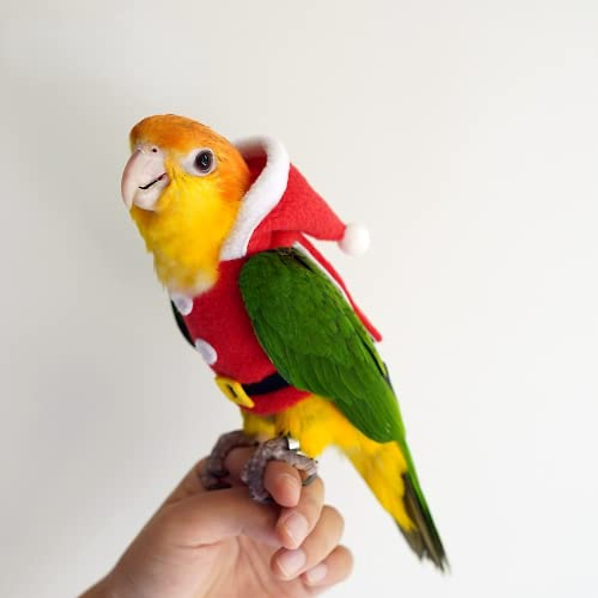 Bird Clothes Birds Flight Suit, Christmas Hoodie for Parrots Cockatiel Sun Conure Christmas Party Cosplay Photo Prop Bird Shirt Small Animals Apparel (Without Diaper,Green Quaker)