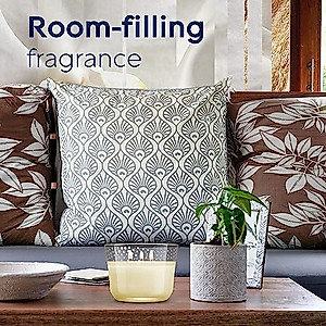 Glade Candle Sheer Vanilla Embrace, Fragrance Candle Infused With Essential Oils, Air Freshener Candle, 3-Wick Candle, 6.8 Oz, 3 Count