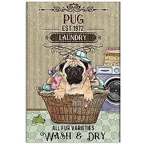 Pug Laundry Retro Metal Tin Sign Vintage Sign for Home Coffee Garden Wall Decor 8x12 Inch