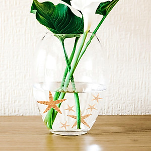 SEWACC 100pcs Ocean Beach Natural Seashells Sea Stars Nautical Fish Tank Aquarium Decor Table Scatter Vase Fillers for Christmas Tree Ornament Wedding