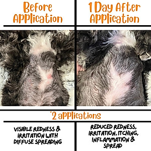 Protective Skin Barrier Cream for Pets Enriched with Vitamins & Nutrients, Moisturize & Soothe Skin, Effective Allergy Relief, Supports Tissue Growth & Wound Healing, Treats Hot Spots, Dober-Mint