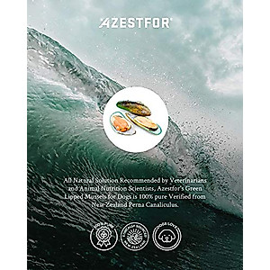 Azestfor Anti-Inflammatory Green Lipped Mussel for Dogs Powder
