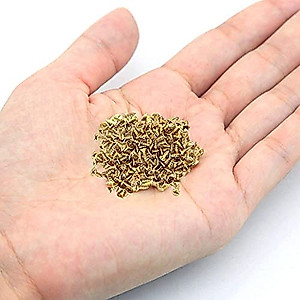 Small Household Screw, Linwood Phillips Flat Head Wood Screw [DIY Screw] for Kitchen/Office Decoration, Boxes/Pictures Decorative Accessories, ＃3 Screw, 200pcs (2×6mm/0.07×0.23in, Gold)