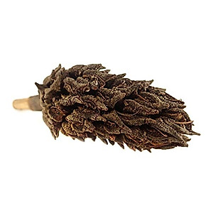 Josh's Frogs Magnolia Pods (Includes 5 Pods)