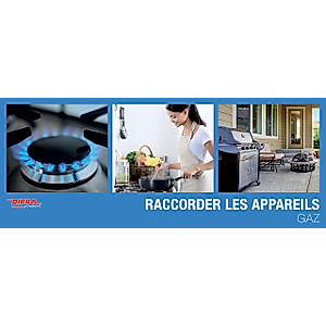 Dipra 11546 Détendeur GAZ à sécurité Butane Safety Gas Regulator, Norme, Grey