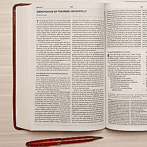 CSB Everyday Study Bible, British Tan LeatherTouch, Black Letter, Study Notes, Illustrations, Aricles, Easy-to-Carry, Easy-to-Read Bible Serif Type