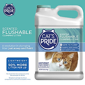 Cat's Pride Lightweight Clumping Litter: Flushable - Powerful Odor Control - Scented, 10 Pounds