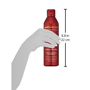 SoftSheen-Carson Optimum Salon Haircare Defy Breakage Fortifying System Hair Restore Shampoo, 13.5 fl oz