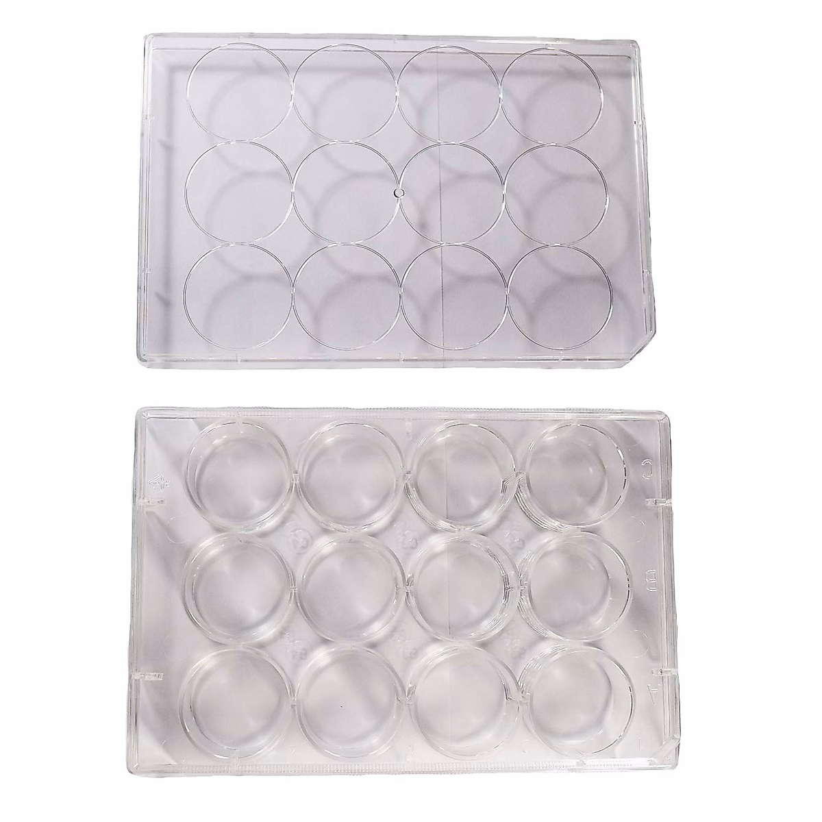 ADVANGENE 12 Well Treated Sterile Flat Tissue Culture Plate (50/Case)