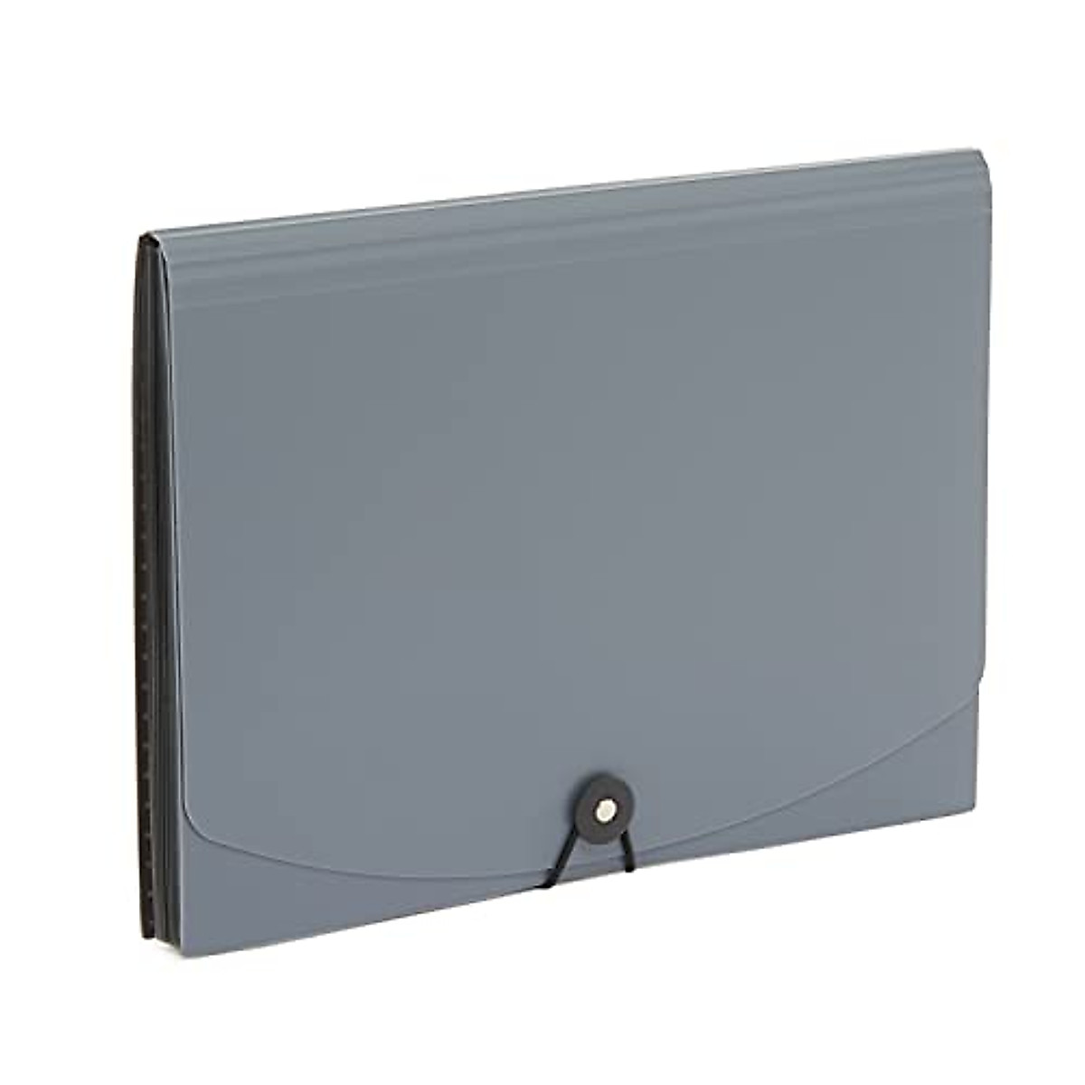 Amazon Basics Expanding Organizer File Folder, Letter Size - Black & Gray, 2-Pack