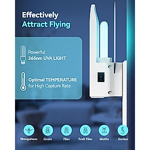 Double-Sided Glue Card Fly Trap Indoor with Plug-in UV Light, Noiseless Fruit Fly Traps for Indoors, Gnat Traps for House Indoor Pest Control, Sticky Mosquito Trap Flying Insect Trap Killer Catcher