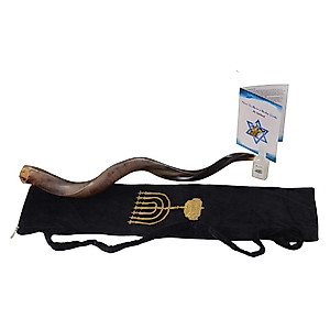 SHOFAR Full Polished Kosher Kudu Horn 40''-42" + Bag + Guide + Spray by Yaliland