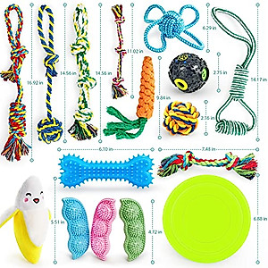 SHARLOVY Dog Chew Toys for Puppies Teething, Puppy Toys 16 Pack Dog Toys for Aggressive Chewers Puppy Chew Toys Peas Rubber Bone Dog Toy Bundle Small Dog Squeaky Toys for Small Dogs