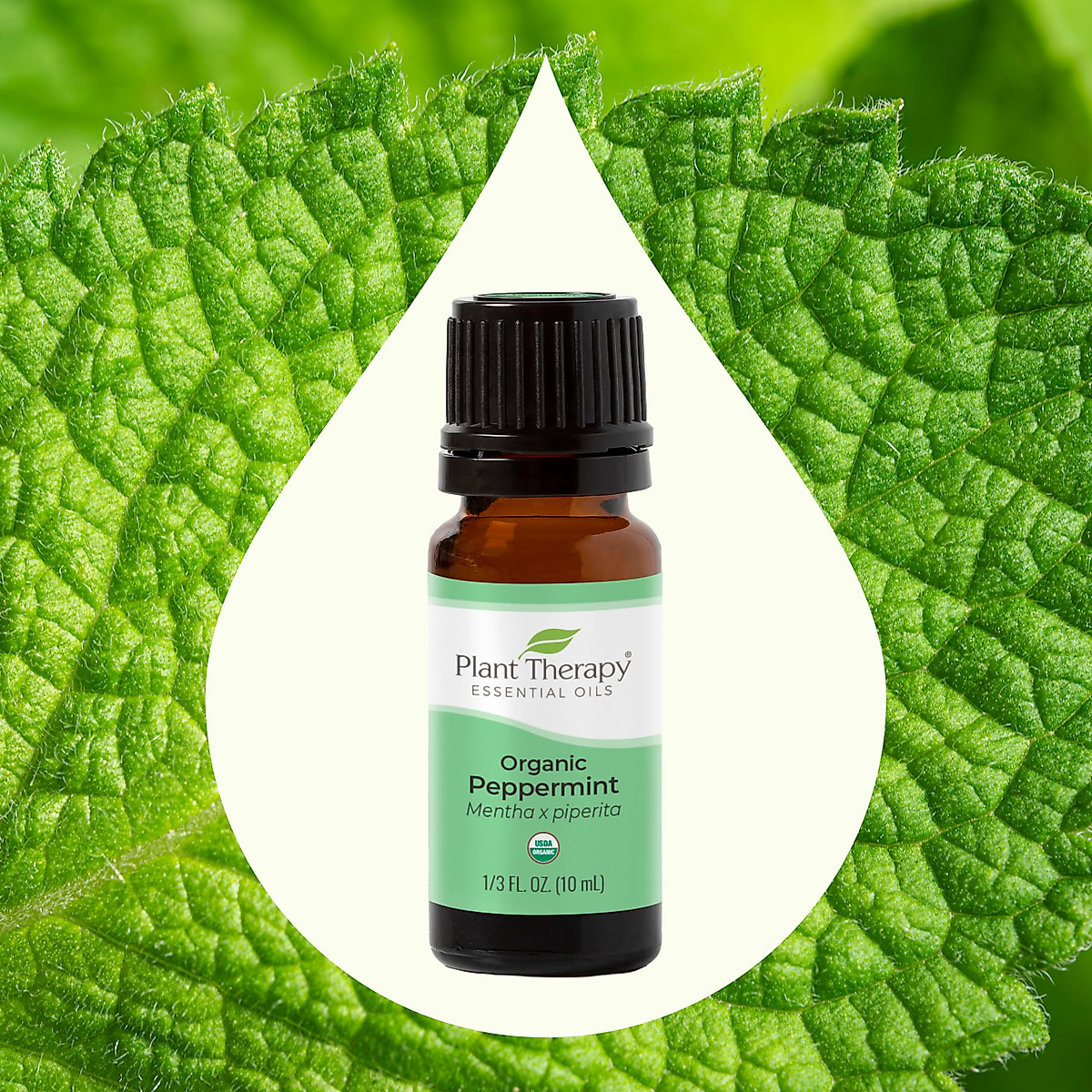 Plant Therapy Organic Peppermint Essential Oil 100% Pure, USDA Certified Organic, Undiluted, Natural Aromatherapy, for Diffuser, Skin, Hair, Therapeutic Grade 10 mL (1/3 oz)