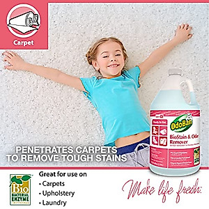 OdoBan Professional Series Cleaning 3-in-1 Carpet Cleaner Concentrate, 1 Gallon & Professional Cleaning Ready-to-Use BioStain and Odor Remover, 1 Gallon