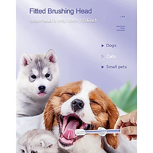 360 Degree Dog and Dat Toothbrush with Tongue Cleaner, Pet Silicone Toothbrush and Cat Toothbrush Kit, Comes with a Storage Cup, Suitable for Small and Medium-Sized Dogs, Cats, Ferrets, and Dutch Pigs