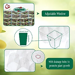 Hoolerry Seed Starter Tray 40 Cells Seed Starter Kit with Humidity Dome and Base Propagation Tray Plant Germination Trays Greenhouse Mini Propagator Station for Seeds Growing (Green,20 Pcs)