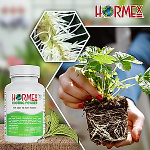 Hormex Rooting Powder #1 - for Moderately Difficult to Root Plants - 0.1 IBA Rooting Hormone for Plant Cuttings - Fast & Effective - Free of Alcohol, Dye, Gel & Preservatives for Healthier Roots, 21g