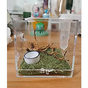 AWXZOM Spider Terrarium, Acrylic Reptile Breeding Box Jumping Spider Enclosure with Dropper Tongs Snail cage, Cricket Enclosure arboreal Tarantula Habitat