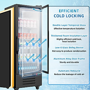 HIPOPLLER 16.2 Cu.ft Commercial Display Refrigerator, Upright Swing Glass Door Merchandiser Fridge with LED Lightning, Reach-in Beverage Cooler for Home Office Shop Restaurant, ETL Approved, Black