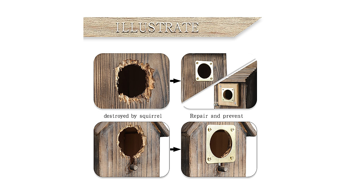 Bluebird House Predator Guard - Protect Birds Easily