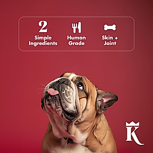 King Lou Pets - Bone Broth Booster Holistic Defense - Beef Bone Broth Topper - Beef Bone Broth and Turkey Tail Mushroom - Bone Broth for Holistic Immune Defense - Bone Broth for Dogs and Cats