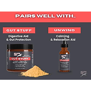 Homescape World Stride by Helluva Dog — Joint Support Meal Topper for Active Sporting Dogs — Green Lipped Mussel & Turmeric Powder for Mobility & Recovery 4oz