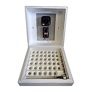 Farm Innovators 2450 Heated Digital Circulated Air Incubator with Automatic Egg Turner for Improved Egg Hatching of Up To 41 Eggs At Once, White