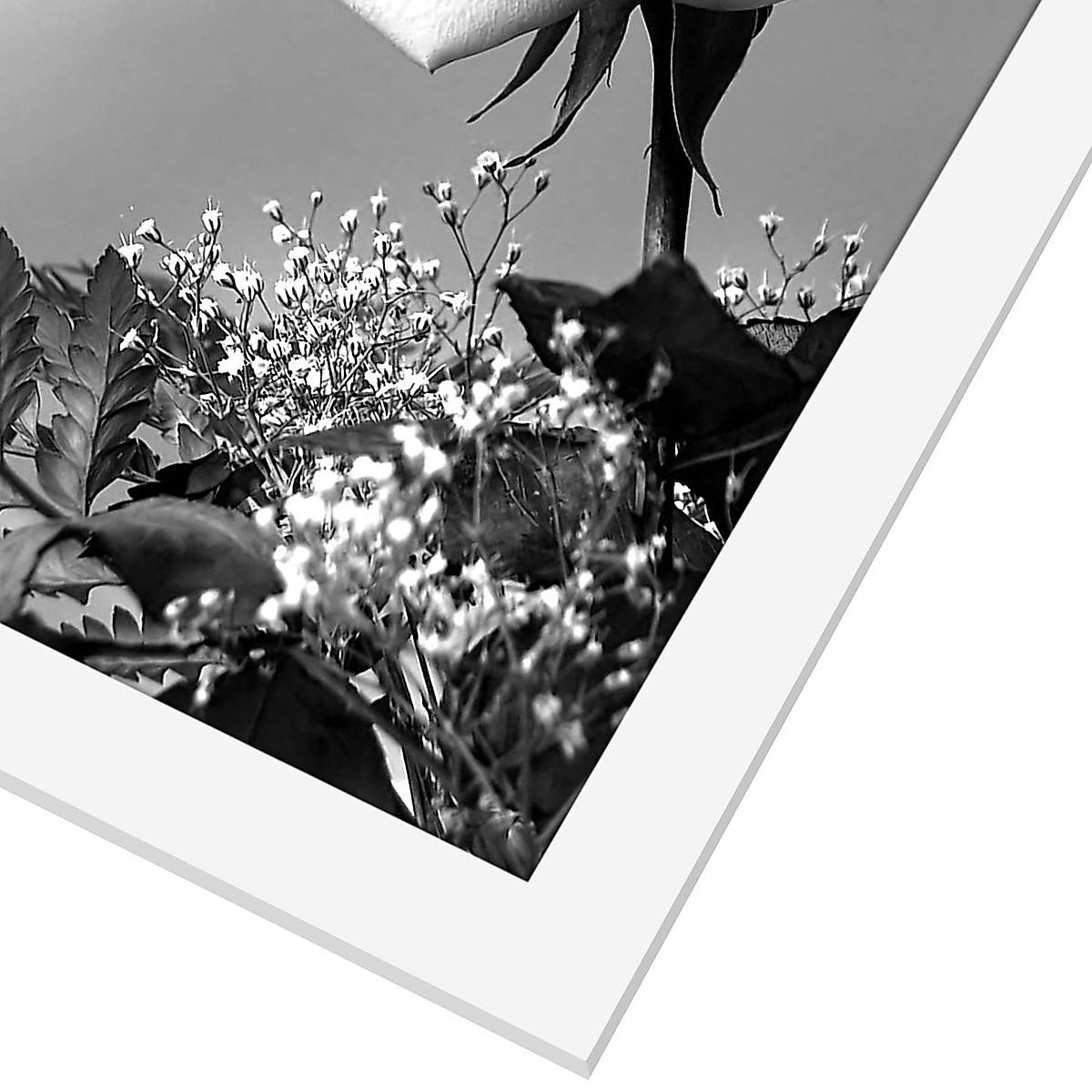 Americanflat 12x18 Poster Frame in White - Photo Frame with Engineered Wood Frame and Polished Plexiglass Cover - Horizontal and Vertical Formats for Wall with Built-in Hanging Hardware