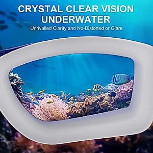 RABIGALA Swimming Goggles Adult, Swim Goggles Anti-Fog Waterproof Anti-UV Clear Vision Swim Goggles with Earplugs & 3 Nose Pieces suitable for Women Men(Gray-Blue)