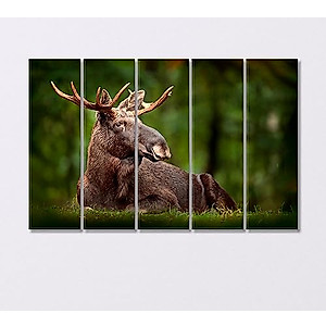 American Moose in Natural Habitat Canvas Print 5 Panels / 36x24 inches