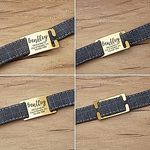 Anavia Slide On Silent Pet ID Tags, S/M/L/XL Personalized Gold Black Stainless Steel Customized Engraved Cat Dog Name Tags, Glossy Finish Chew-Proof Quiet Dog Collar Tag (X-Large, Black)