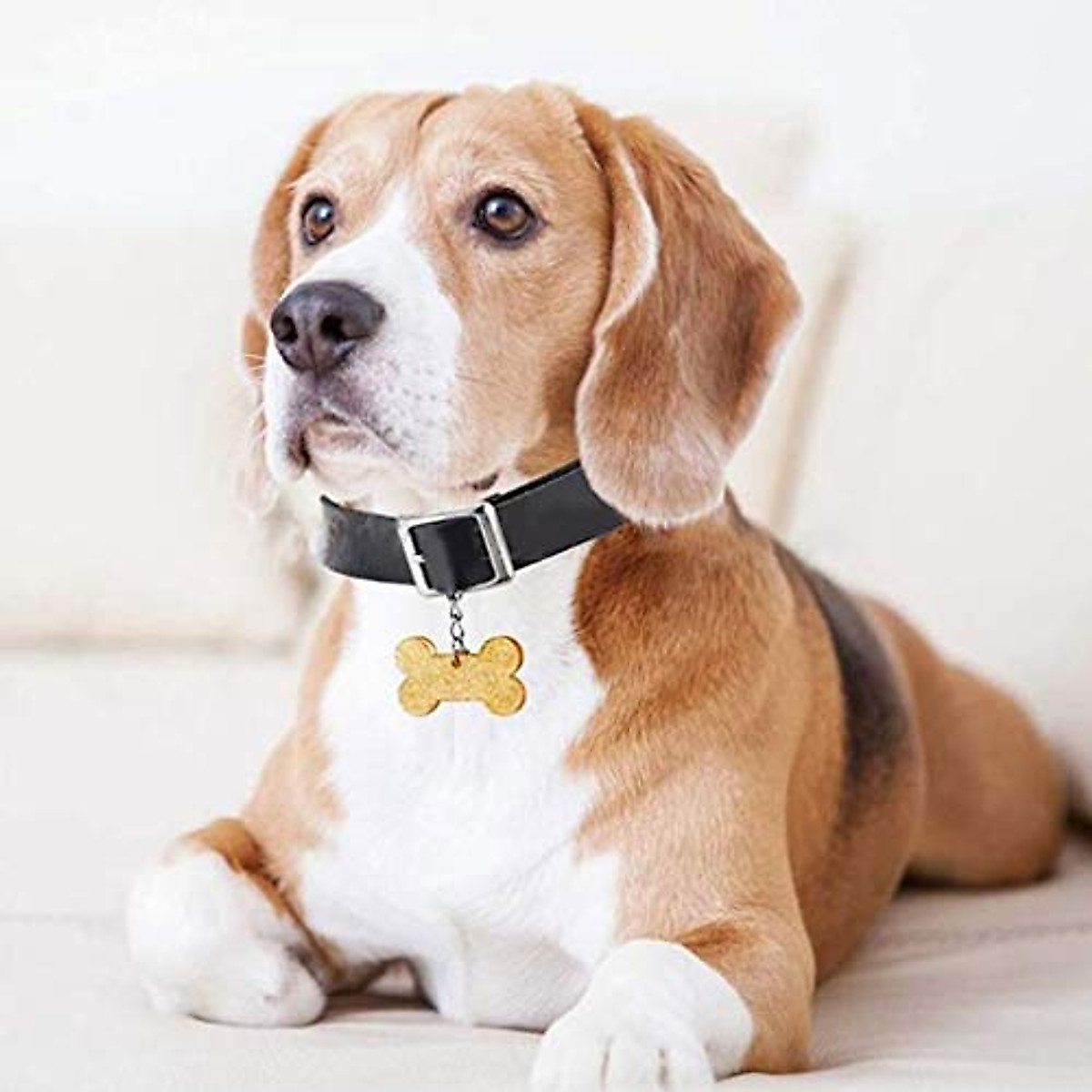 Diarypiece Pet Dogs Cats Tag Bone Shaped Keyring Epoxy Resin Mold,Key Chain Pendant Silicone Mould