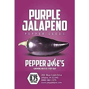 Pepper Joe’s Purple Jalapeno Pepper Seeds ­­­­­– Pack of 10+ Rare Mild Hot Pepper Seeds – USA Grown ­– Premium Non-GMO Purple Jalapeno Seeds for Planting in Your Garden