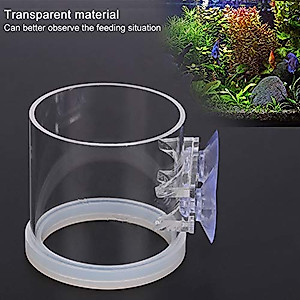 Fish Tank Suction Cup Feeder Acrylic Transparent Fish Ring Food Feeder Clear Fish Feeding Ring with Anti-Collision Strip for Aquarium Fish Tank